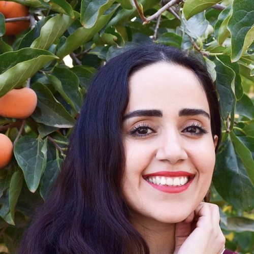 About Cinema Iranica | Encyclopaedia Iranica Foundation