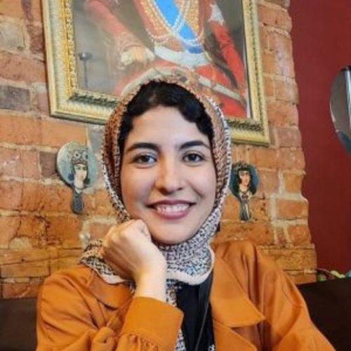 Research Members Cinema Iranica | Encyclopaedia Iranica Foundation