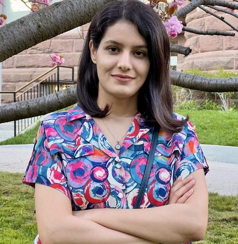 Research Members Cinema Iranica | Encyclopaedia Iranica Foundation